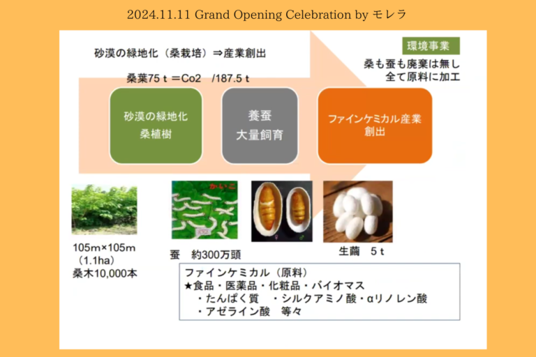 VERLiS Grand Opening Celebration～未来に芽吹く力となる～in ディズニーアンバサダーホテル千葉｜IMAI企画